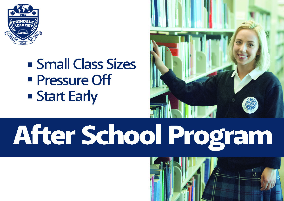 The Erindale Academy